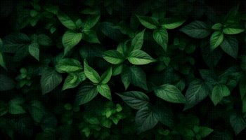 Green Aesthetic Gif by patrika - Gif Abyss