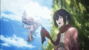 [90+] Mikasa Ackerman Gifs