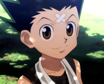 [180+] Gon Freecss Gifs