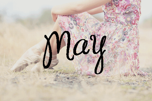 May Moments: A Dynamic Floral Showcase - Gif Abyss