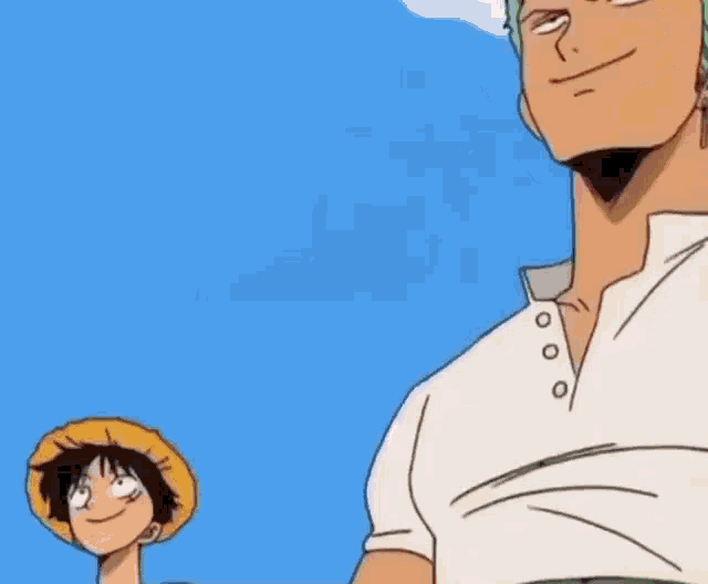 Epic Adventure: Zoro & Luffy in an Animated Journey