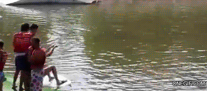 Download Funny Humor Fail Gif