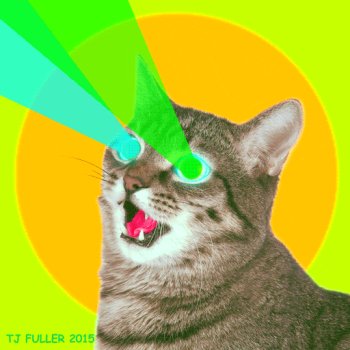 Animal Gifs: Free Download [6700+]