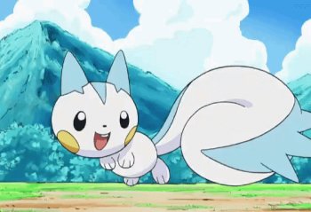 Pachirisu (Pokémon) - Desktop Wallpapers, Phone Wallpaper, PFP, Gifs ...