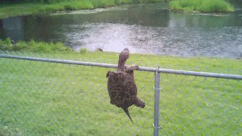 Download Funny Humor Fail Gif