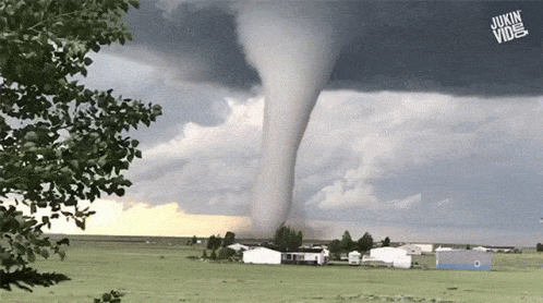 Tornado Fury: A Captivating Animated Disaster