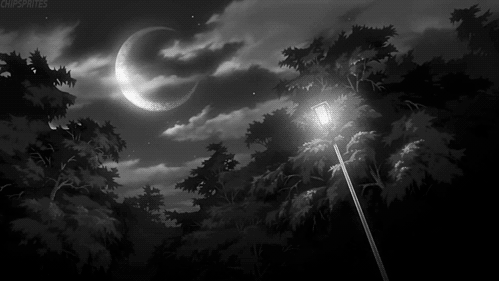 Nocturnal Whispers: An Animated Dark Anime Night