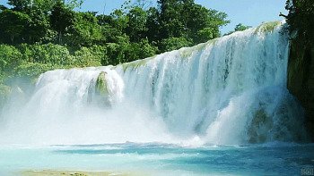 Verdant Cascade — Forest Waterfall Loop (Animated) - Gif Abyss