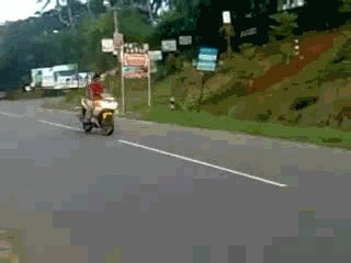 Download Funny Humor Fail Gif