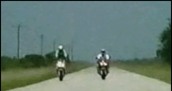 Download Funny Humor Fail Gif - Gif Abyss