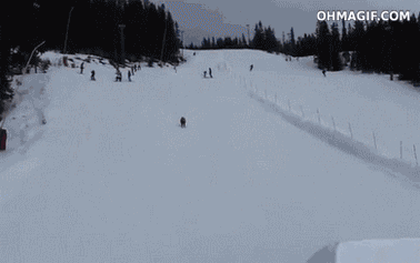 Fail Gif - Gif Abyss