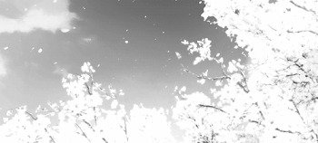 Wind Gifs