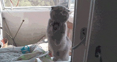 Download Funny Humor Fail Gif - Gif Abyss