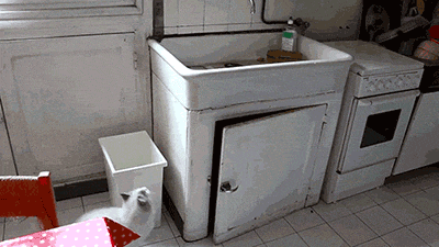 Download Funny Humor Fail Gif - Gif Abyss