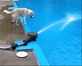 Download Funny Humor Fail Gif