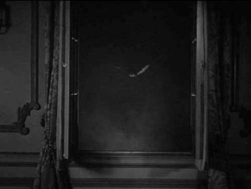 Download Dark Gothic Gif