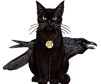 Gothic Shadows: The Enchanted Black Cat and Raven