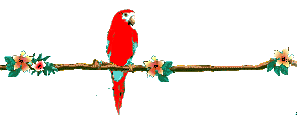 Download Animal Parrot Gif