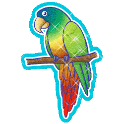 Parrot Gif - Gif Abyss