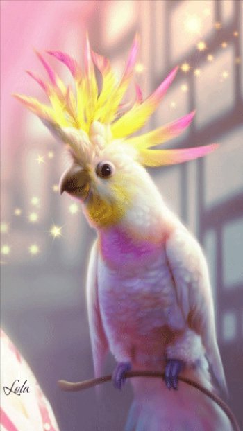 Download Animal Parrot Gif