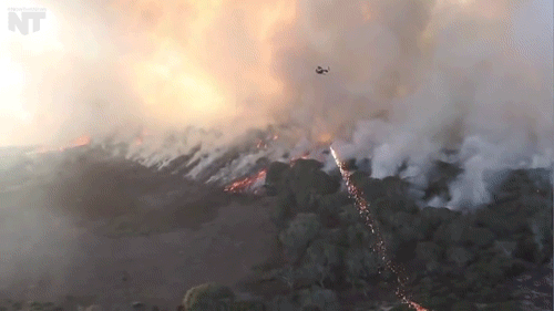 Download Photography Fire Gif