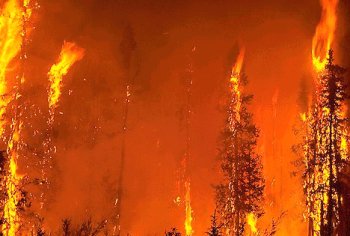 Download Photography Fire Gif