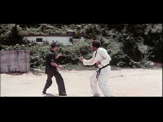 Bruce Lee Gif - Gif Abyss