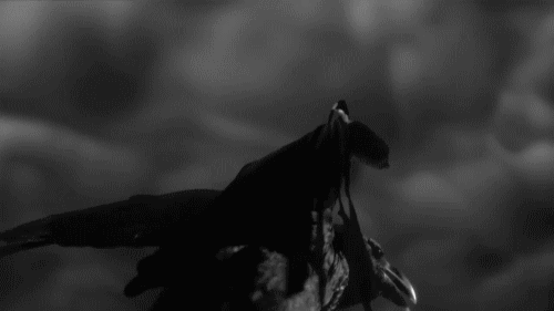 Download Gothic Dark Movie The Crow Gif