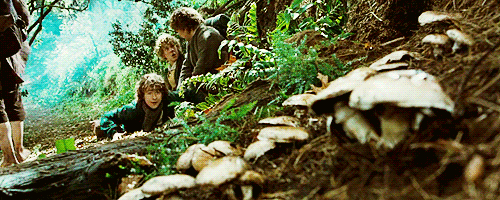 Download Fantasy The Lord Of The Rings Gif