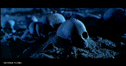 Download Cyborg Futuristic Movie The Terminator Gif - Gif Abyss