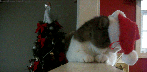 Download Holiday Christmas Gif