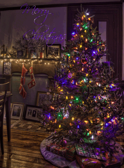 Download Holiday Christmas Gif