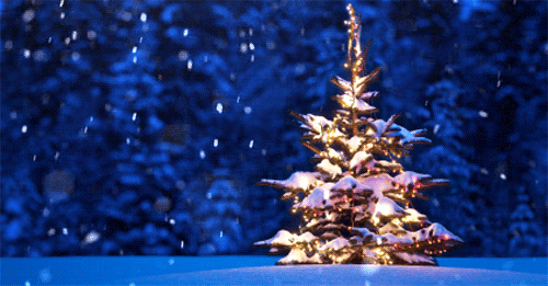 Download Holiday Christmas Gif - Gif Abyss