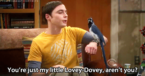 Sheldon Cooper Bazinga Gif