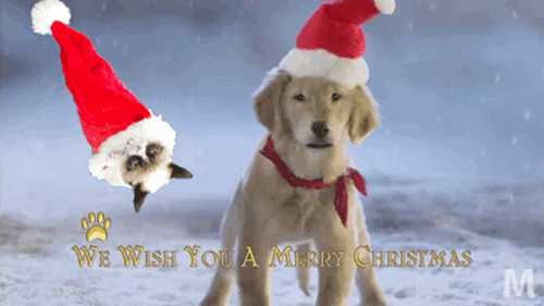Download Holiday Christmas Gif - Gif Abyss