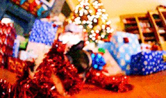 Download Holiday Christmas Gif