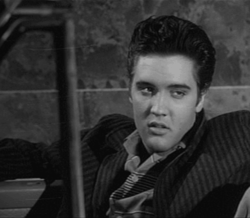 Download Music Elvis Presley Gif