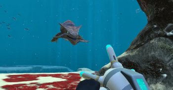 [10+] Exploration Gifs