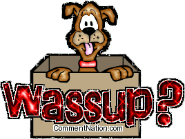 Friendster Background Gif Photo