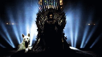 Game Of Thrones Gifs: Free Download [730+]