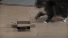 Box Gifs