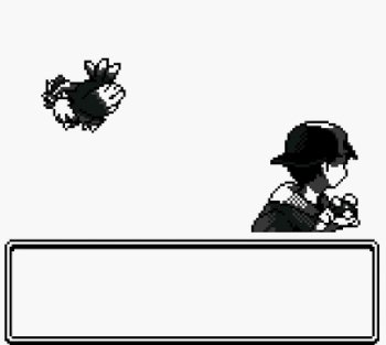 Pokemon: Red And Blue Gifs