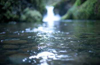 Download Nature River Water Stream Rocks Gif