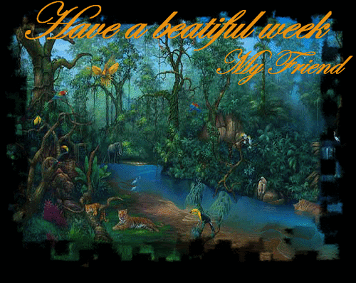 Download Misc Statement Gif - Gif Abyss