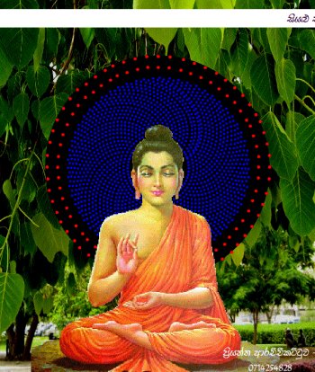 Buddhism Gifs: Free Download [230+]