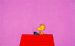 Peanuts Gif - Gif Abyss