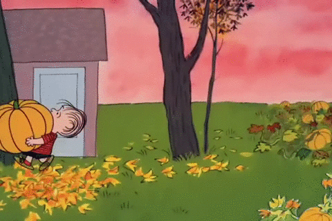 Download Comic Peanuts Gif