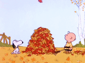Download Comic Peanuts Gif