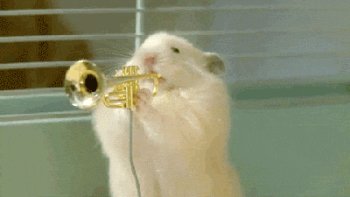 Trumpet Gifs