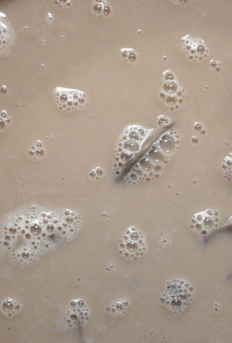 Download Photography Bubble Gif